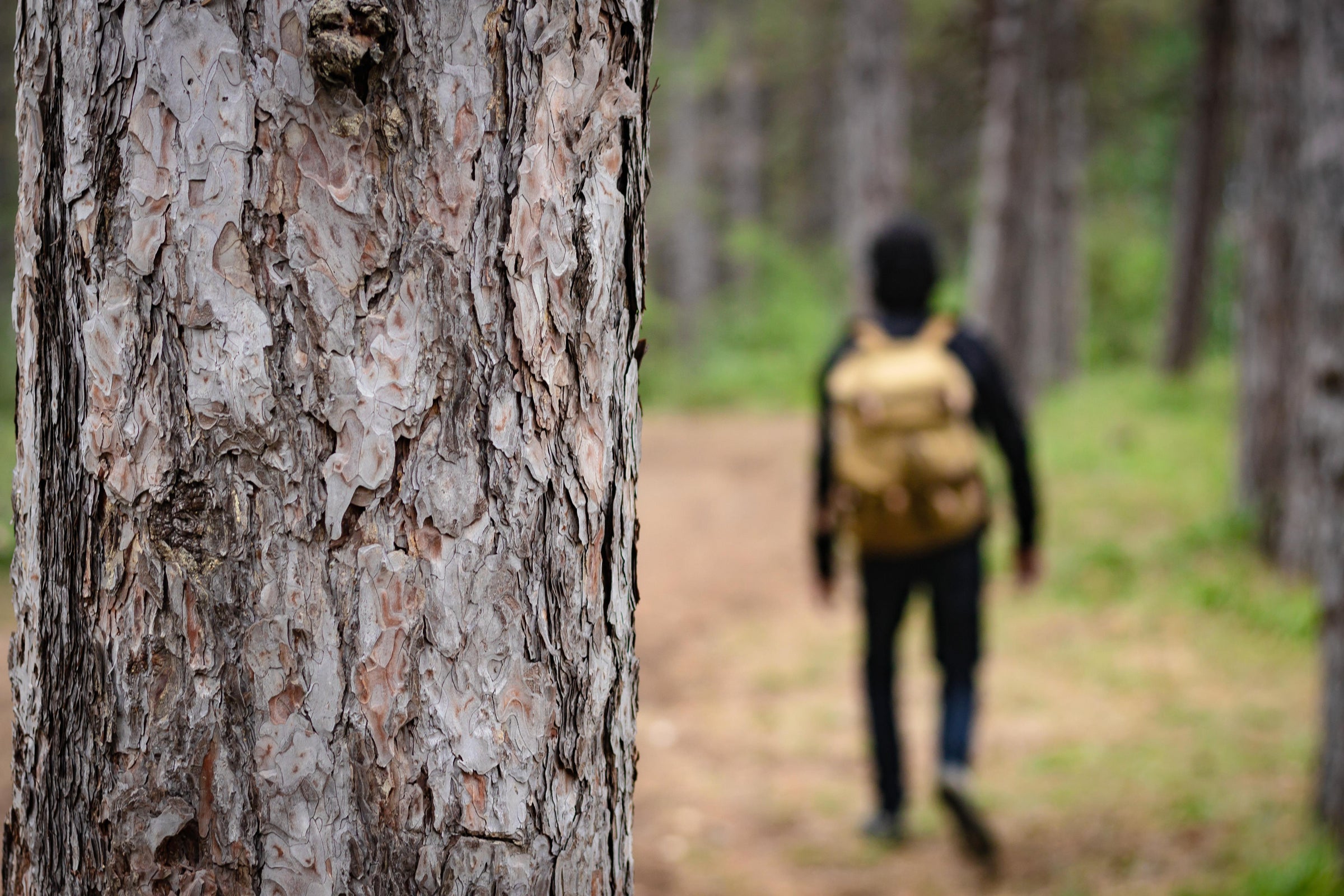 Camping and Backpacking Essentials You Need For Your First Camping Tri ...