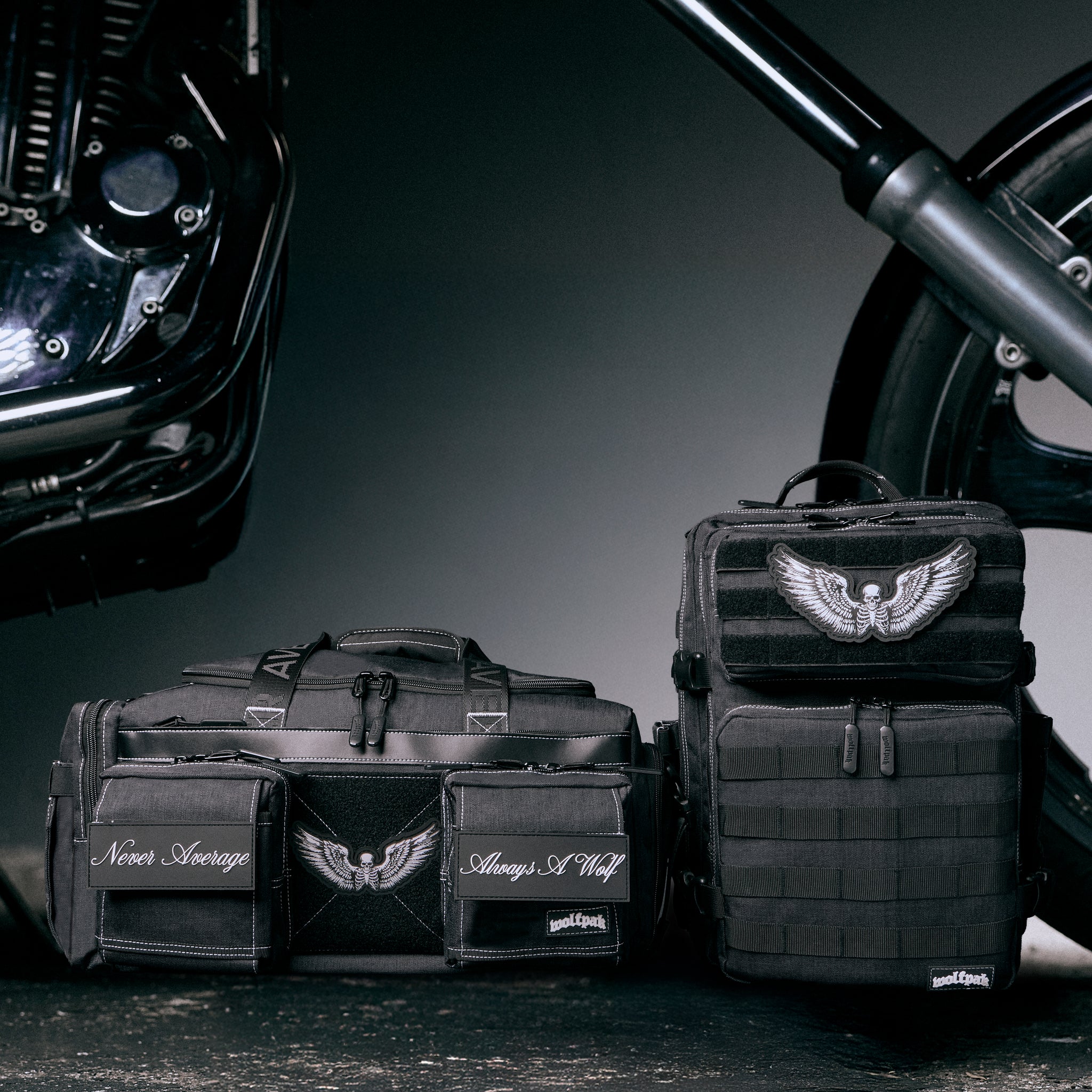 Nocturnal Bundle