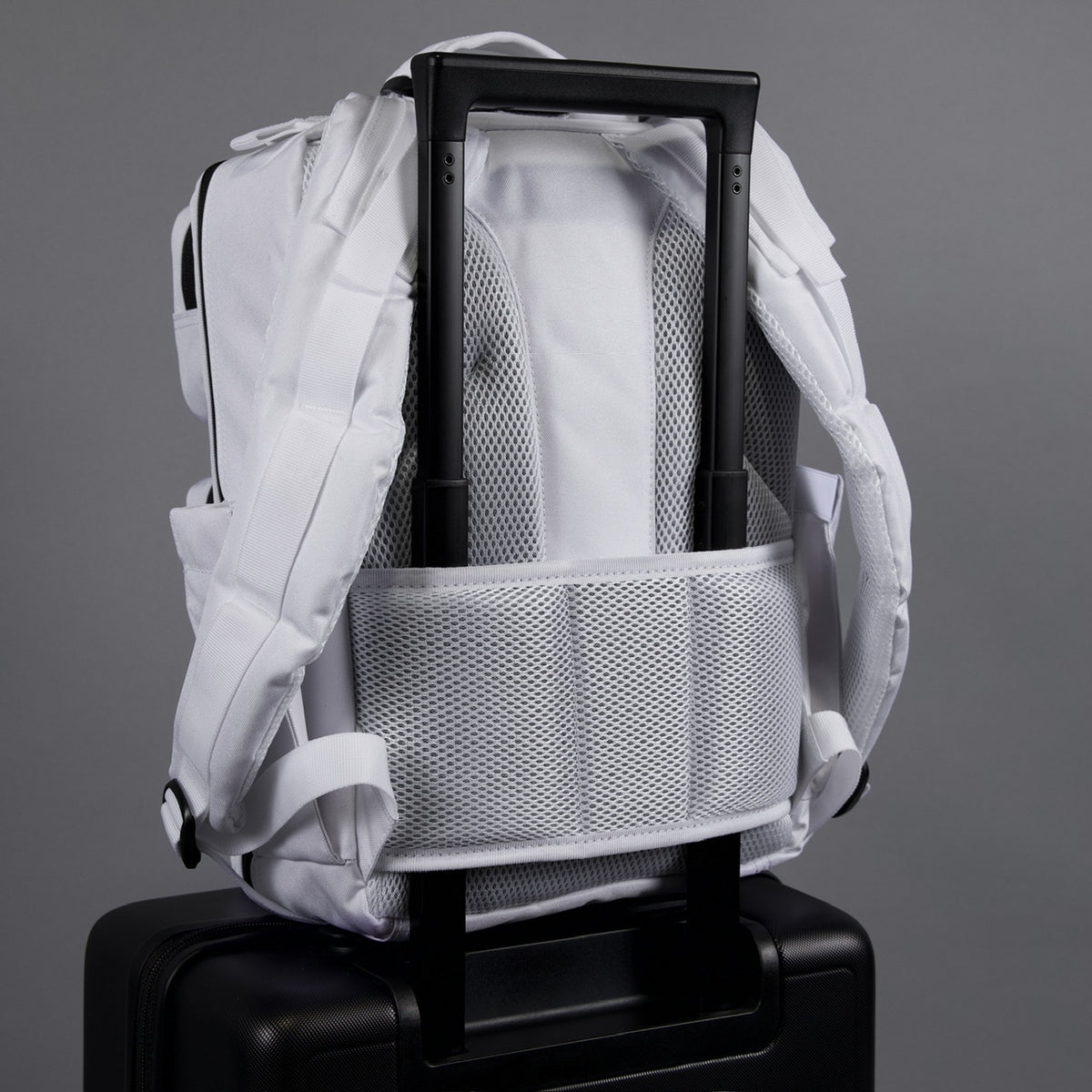 15L Backpack Polar White – WOLFpak