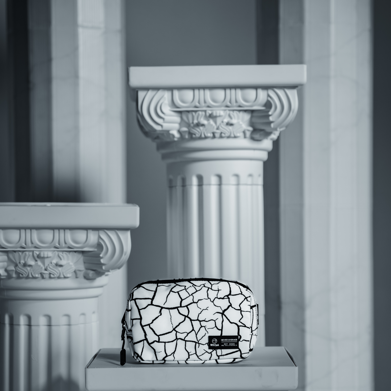 Fanny Pack Alpha Black | WOLFpak