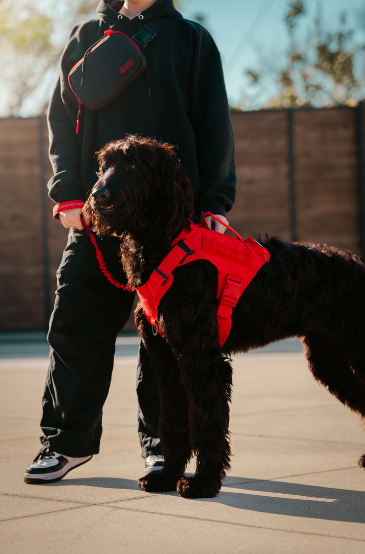 Achromatic Collection – WOLFpak